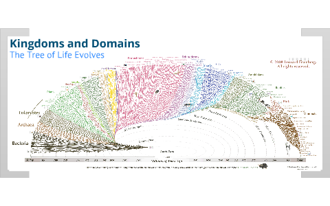 Biology Chapter 18 Section 3 Kingdoms and Domains by Mark Meredith on Prezi