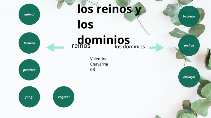 reinos y los dominios by Valentina Chavarría Chavarría on Prezi