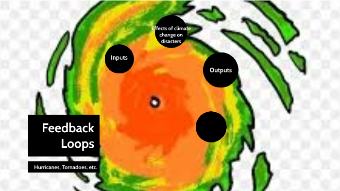 Feedback Loops by Tyler Bartman on Prezi