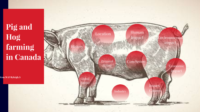 Pig Farming in Canada by gen merz on Prezi