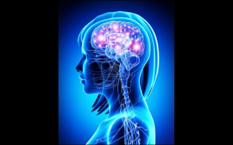 Gène ABCD1 à l’origine de l’Adréoleucodystrophie by Sofia Salazar on Prezi