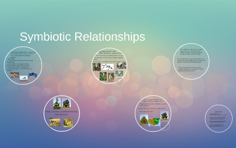 Symbiotic Relationships by Natalie Vargas on Prezi
