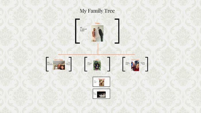 My Family Tree by Casey Cohen on Prezi