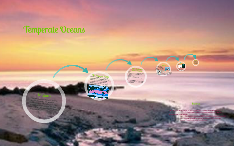 Temperate Oceans by Stephanie Segundo on Prezi