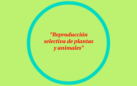 Reproducción selectiva de platas y animales by Aimée Euán Gamboa on Prezi