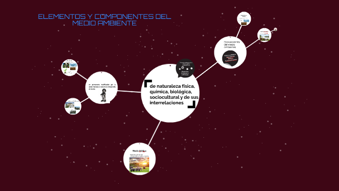 ELEMENTOS Y COMPONENTES DEL MEDIO AMBIENTE by alejandra martinez on Prezi