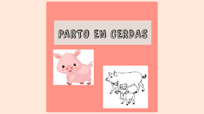 PARTO EN CERDAS by Lucia Solfanelli on Prezi