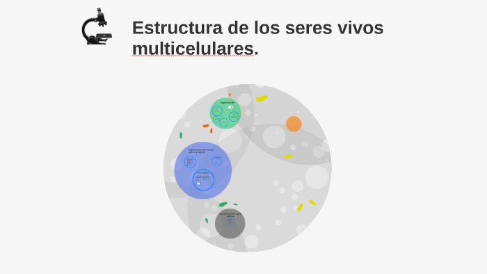 Estructura de los seres vivos multicelulares by Winston Romero Medina ...