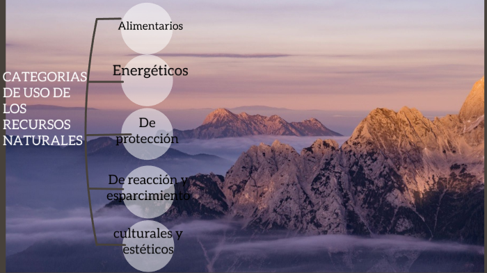 cuadro sinoptico. JAFET RIVERA by jafet rivera on Prezi
