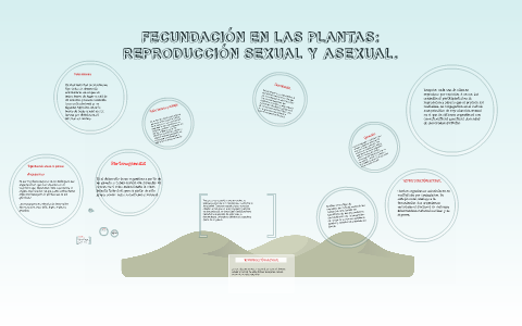 FECUNDACIÓN EN LAS PLANTAS: by on Prezi