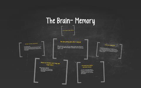 How does the brain record memories? by Sophie Hepper on Prezi
