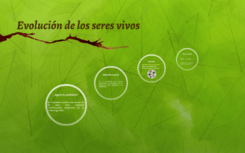 Evolución de los seres vivos by Miguel Dominguez Ferman