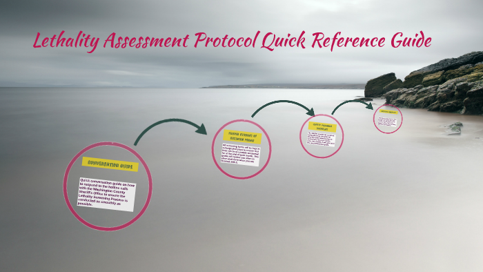 Lethality Assessment Protocol Quick Reference Guide by Rachel Barrett ...