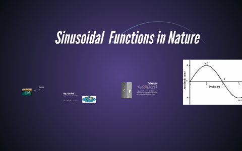 Sinusoidal Functions in Nature by emma clark on Prezi