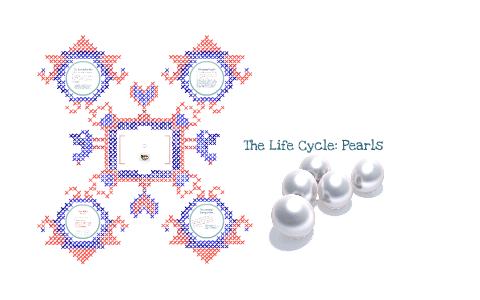The Life Cycle of Pearls by Bella Martin on Prezi