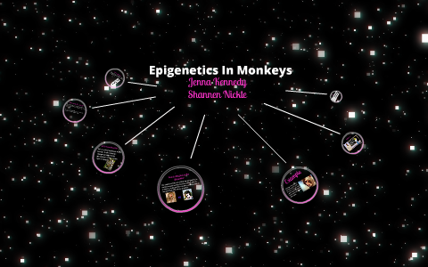 Epigenetics in monkeys by Jenna Kennedy on Prezi