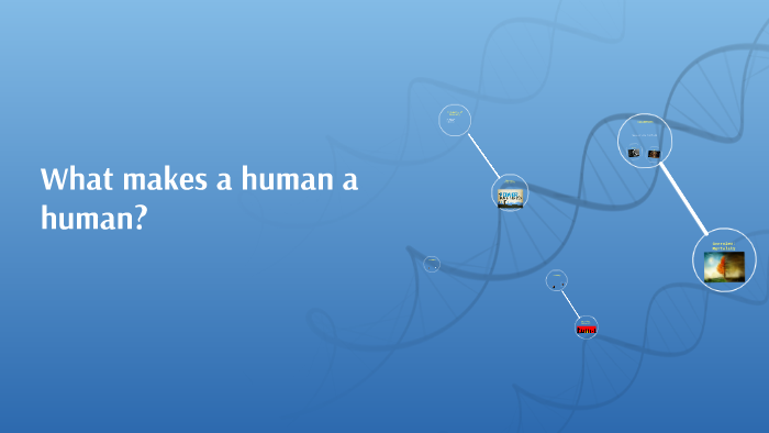 What makes a human a human? by Matt Wilcox