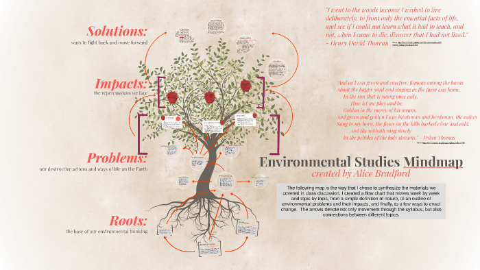 Environmental Studies Mindmap by Alice Bradford on Prezi
