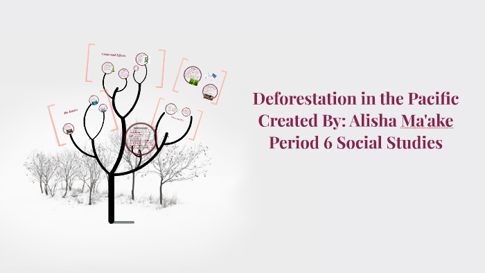 Deforestation in the Pacific by alisha maake on Prezi