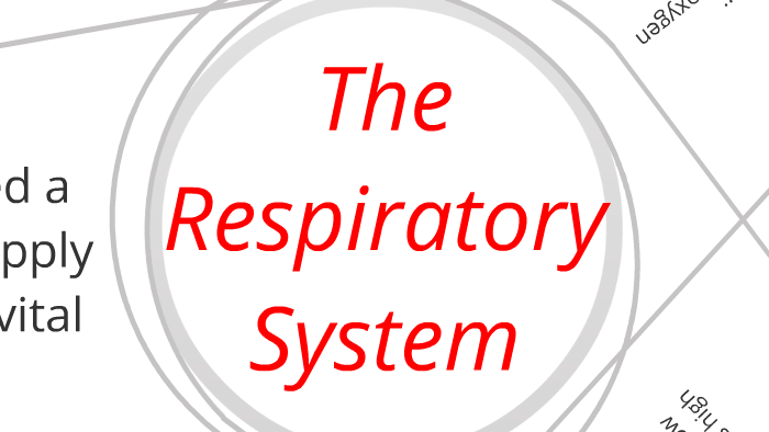 The Respiratory System-EMT by Mrs. Bickley on Prezi