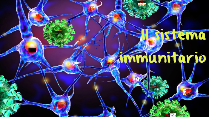 Il sistema immunitario by fede rica on Prezi