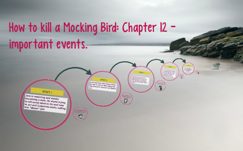 How to kill a Mocking Bird: Chapter 12 -important events. by Amanda ...