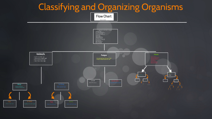 Classifying and Organizing Organisms by group project on Prezi