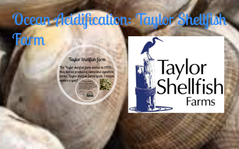 Ocean Acidification; Taylor Shellfish Farm by on Prezi