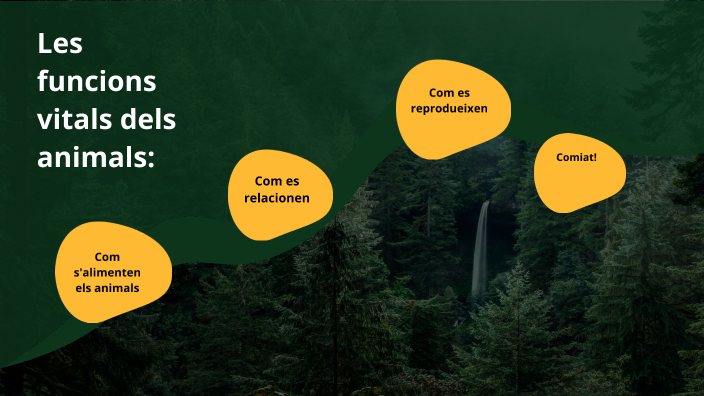 malak: les funcions vitals dels animals by malak benkaddour on Prezi