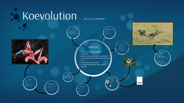 Koevolution by Luis Rentschler on Prezi