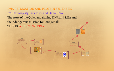 DNA Replication And Protein Synthesis by Tara Joshi on Prezi