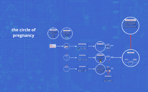 the circle of pregnancy by karlee voss on Prezi