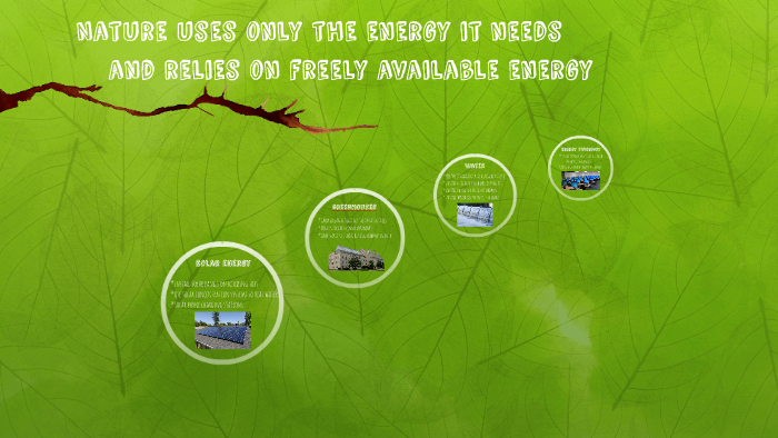 Nature uses only the energy it needs by Kayleigh Sevinsky on Prezi