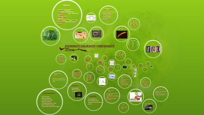 PLJOSNATE,VALJKASTE I PRSTENASTE GLISTE by Amina Belma on Prezi