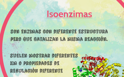 Isoenzimas by Aislinn Brenda on Prezi