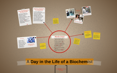 A Day in the Life of a Biochemist by Kaleigh Jackson on Prezi