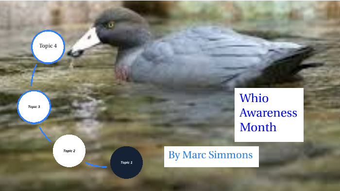 whio awareness month by Marc Simmos on Prezi