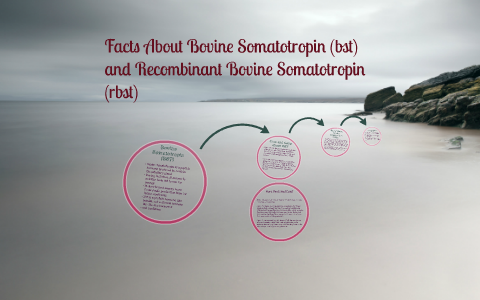 Bovine Somatotropin (bst) and Recombinant Bovine Somatotropi by Vaibhav ...