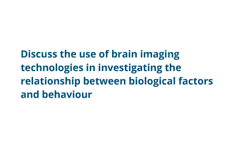 Brain imaging by Elisabeth Marschall on Prezi