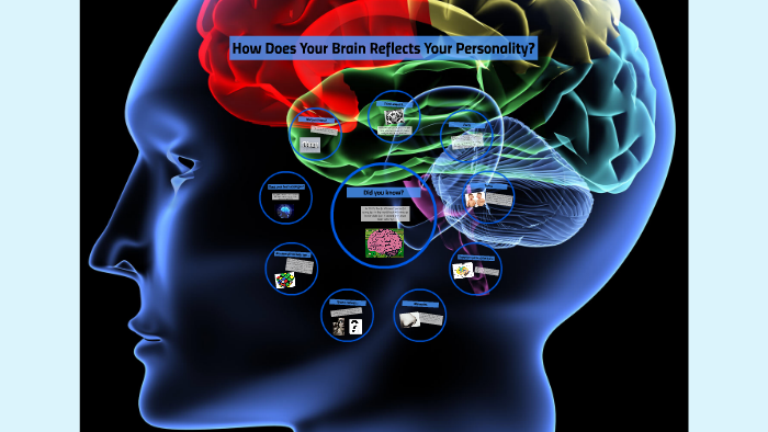 How Does Your Brain Reflects Your Personality? by Pénélope Primeau on Prezi