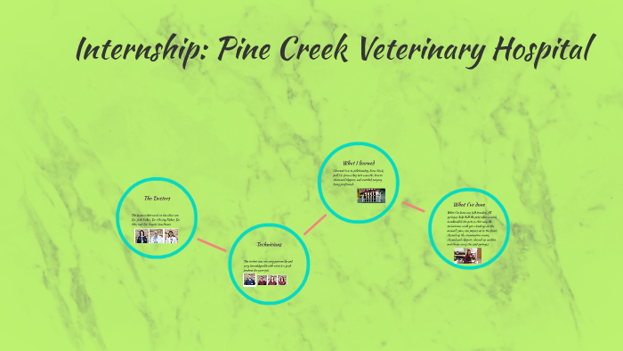 Internship: Pine Creek Veterinary Hospital by Anna Kisa on Prezi
