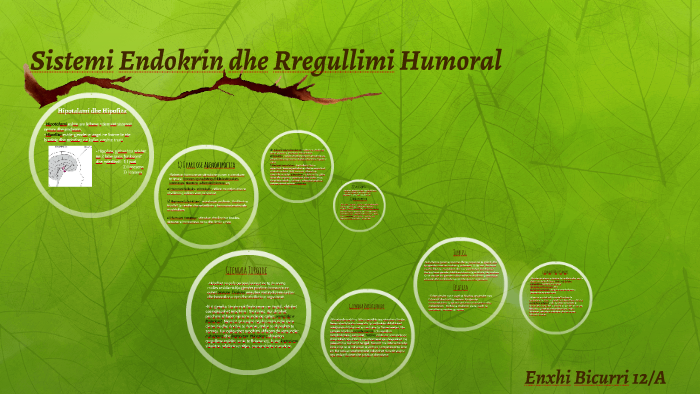 Sistemi Endokrin dhe Rregullimi Humoral by Agnesa Bicurri on Prezi