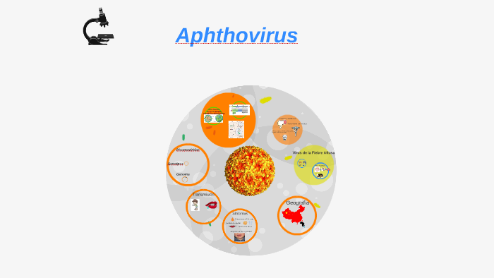 Aphthovirus by Eduardo Gomez on Prezi