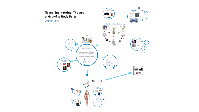 Tissue Engineering: The Art of Growing Body Parts by Andres Rodriguez ...