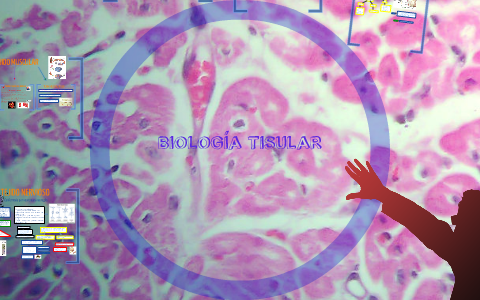 Biología Tisular Teoría by Gris Tello on Prezi