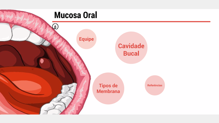 Mucosa Oral by cris pin on Prezi