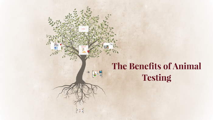The Benefits of Animal Testing by Mikayla Berk on Prezi