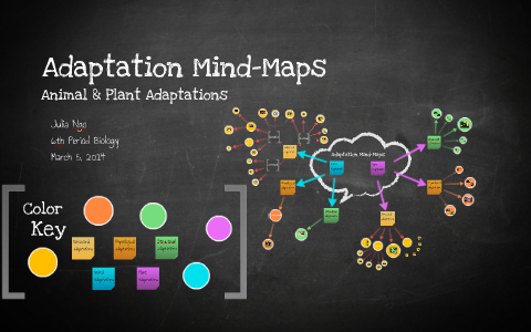 Adaptation Mind-Maps by Julia Ngô on Prezi
