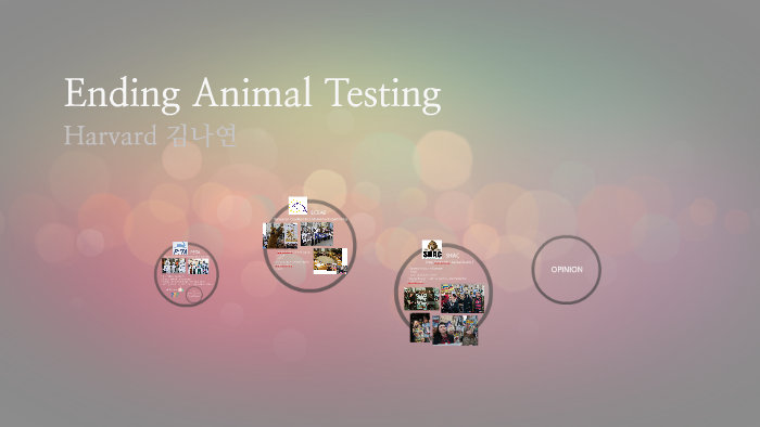 Ending Animal Testing by 나연 김 on Prezi
