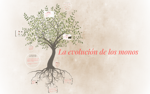 La evolución de los monos by Berenice Garrido on Prezi